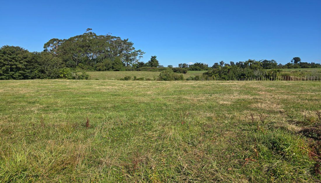 Build your rural lifestyle dream | House and land package | $1,015,170 ...